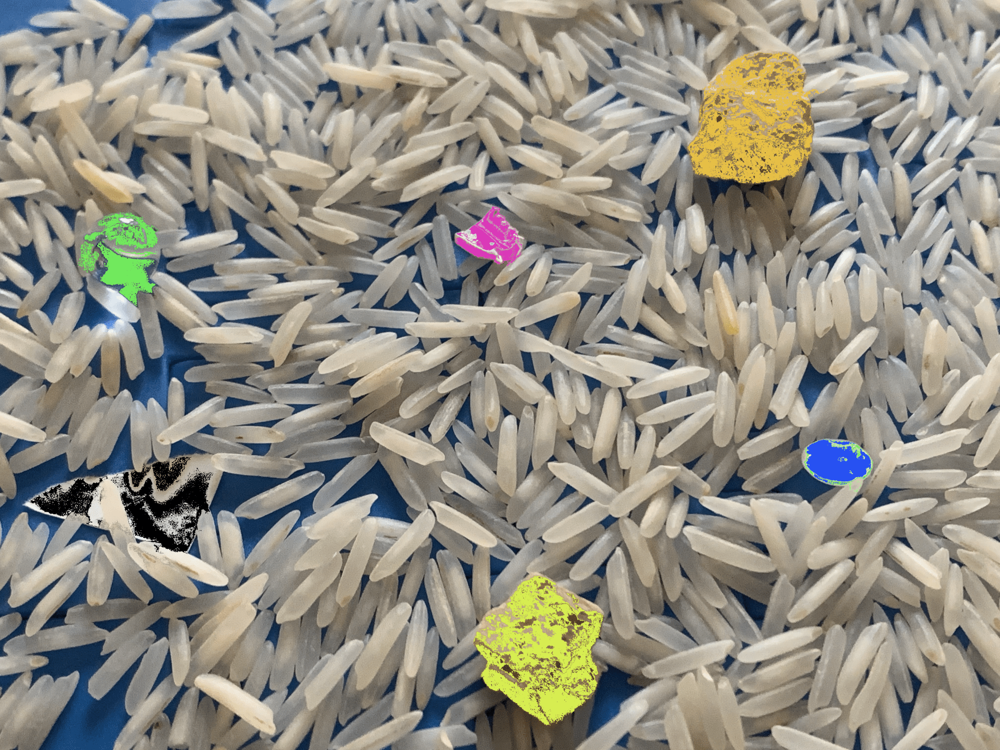 Same Colour Foreign Matter Detection in Rice | AUTOMATE AND CONTROL LTD